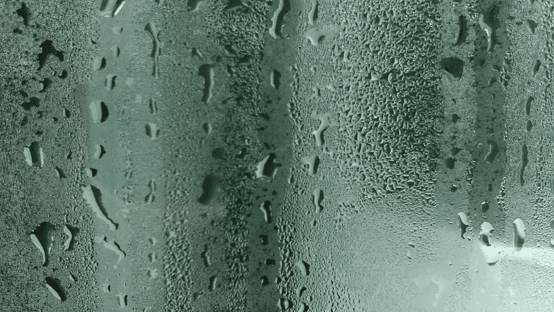 How to Clean Ring Spotlight Camera (Prevent Fogging and Cloudiness)